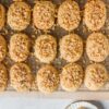 Greek Holiday Cookies (Melomakaronas) - roamingtaste.com